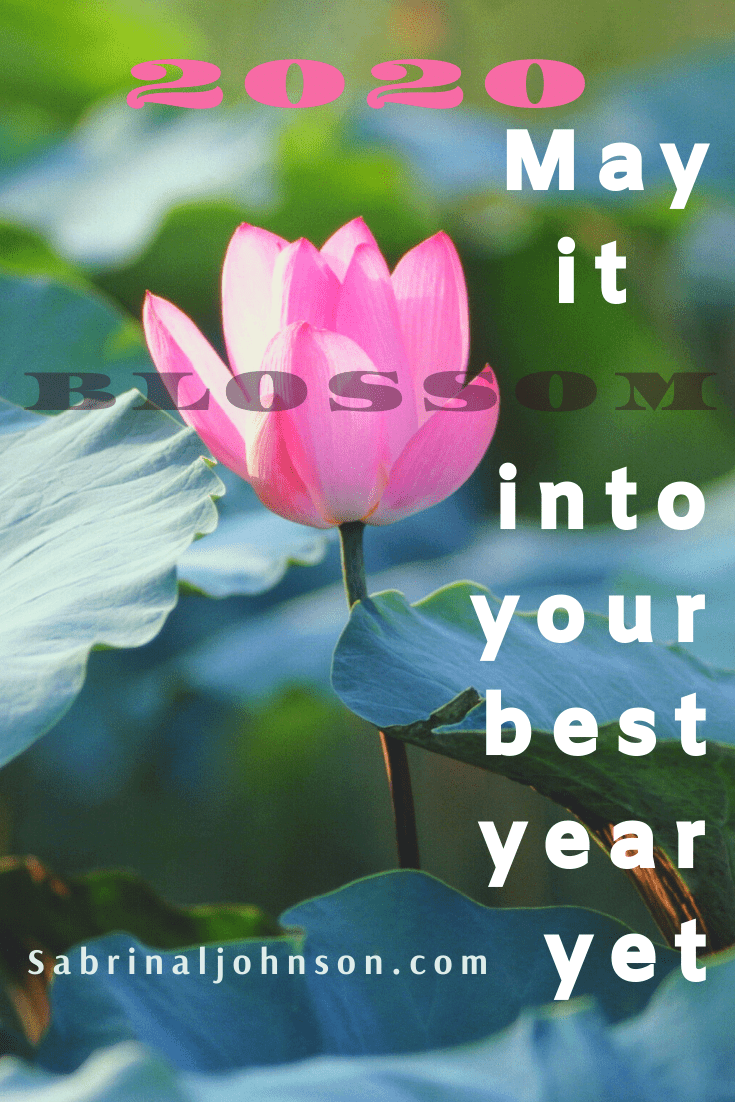 Five ways to Really Make 2020 a Better Year - Sabrina L. Johnson